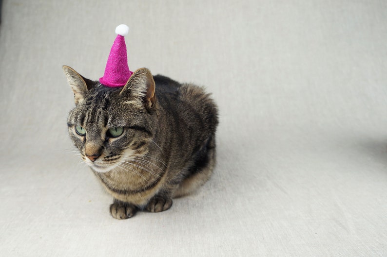 Mini Party Hat for Cats | Etsy