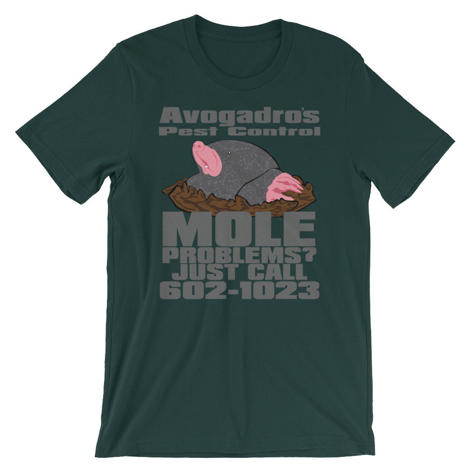 Mole Day Shirt Science Nerd Avogadro's Mole Shirt | Etsy