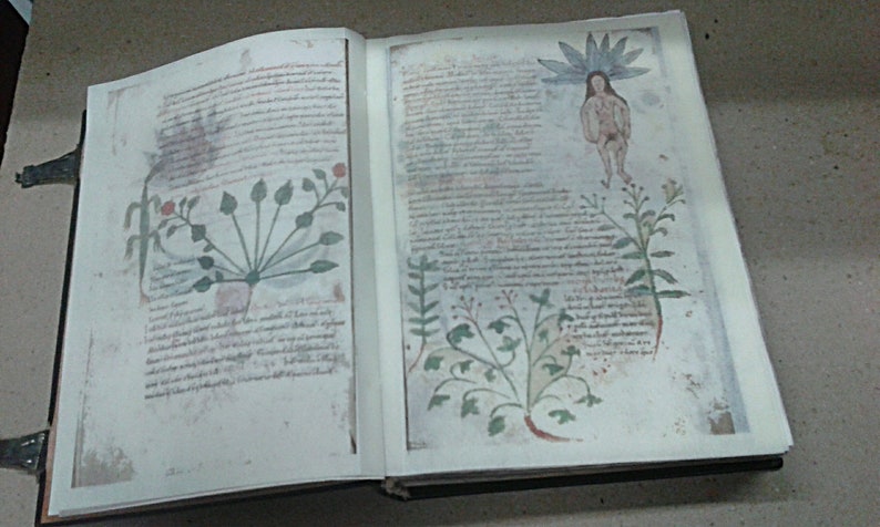 Ashmole 782 Replica Prop a discovery of witches genuine | Etsy